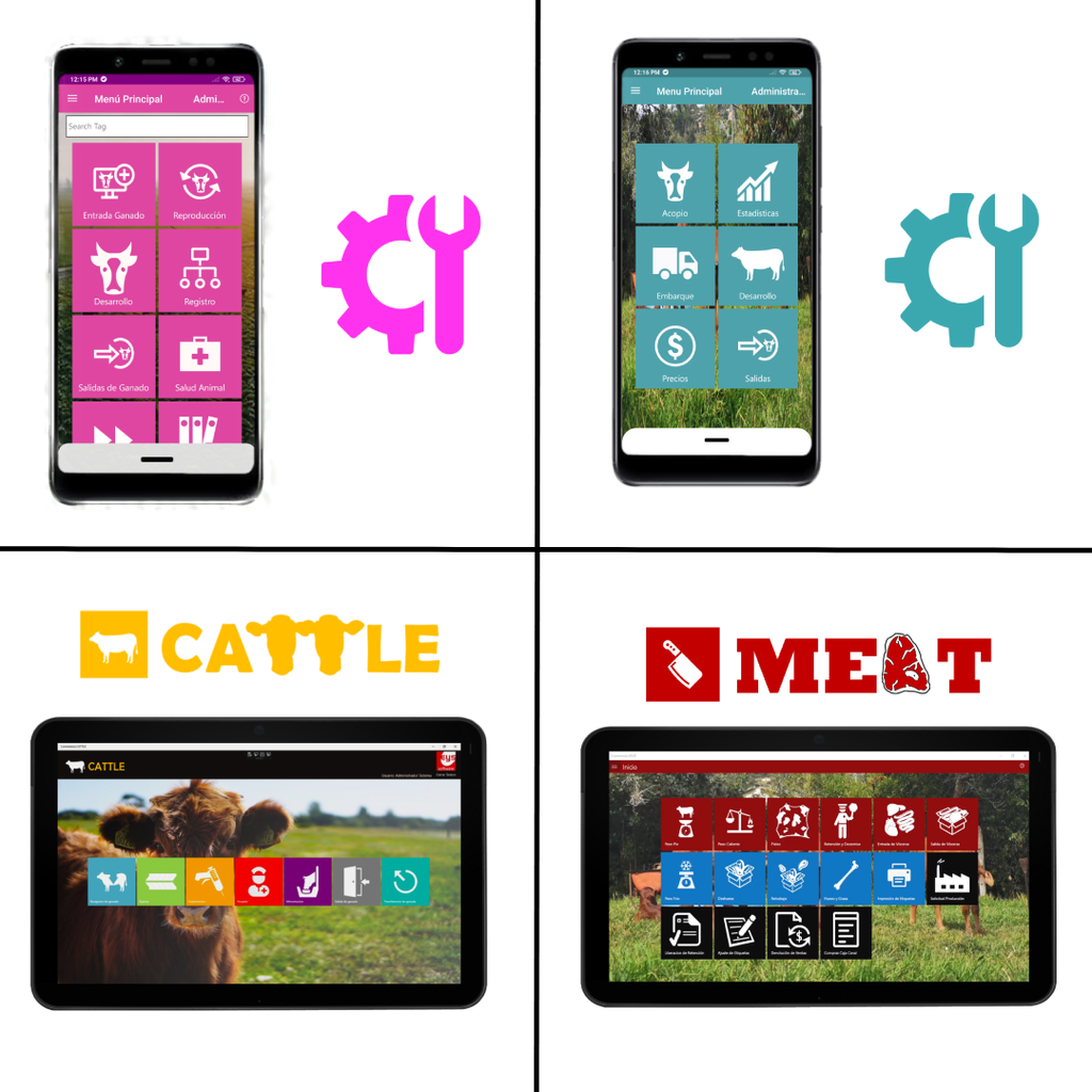 Set Up | Eys Software México